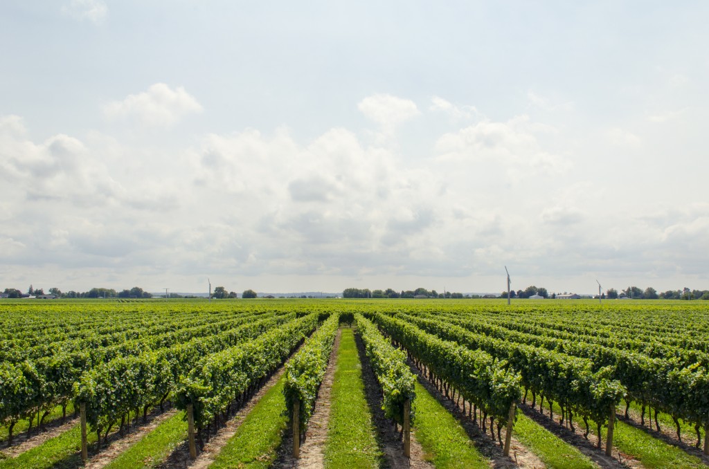 US Wine Transport USWT LTL, OTR, Reefer, wine transportation